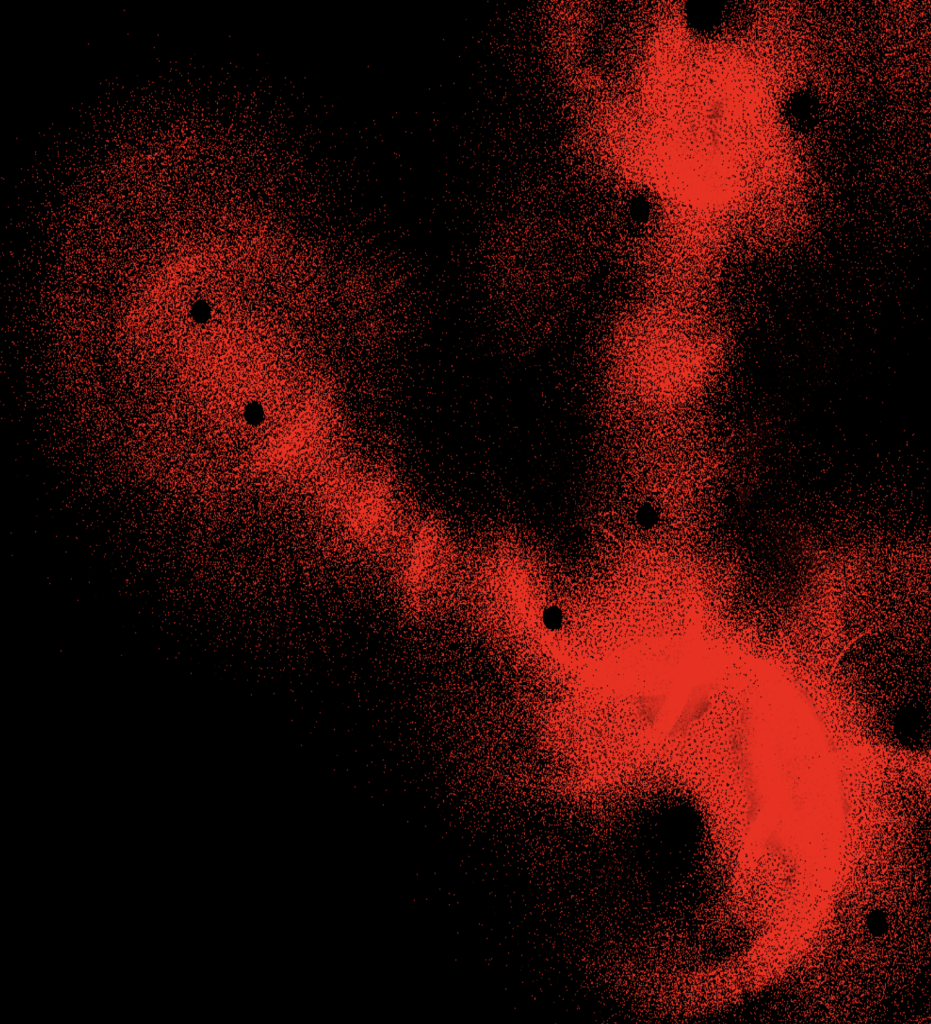 Physarum: Biologically Informed Algorithmic Structures – Digital Media ...